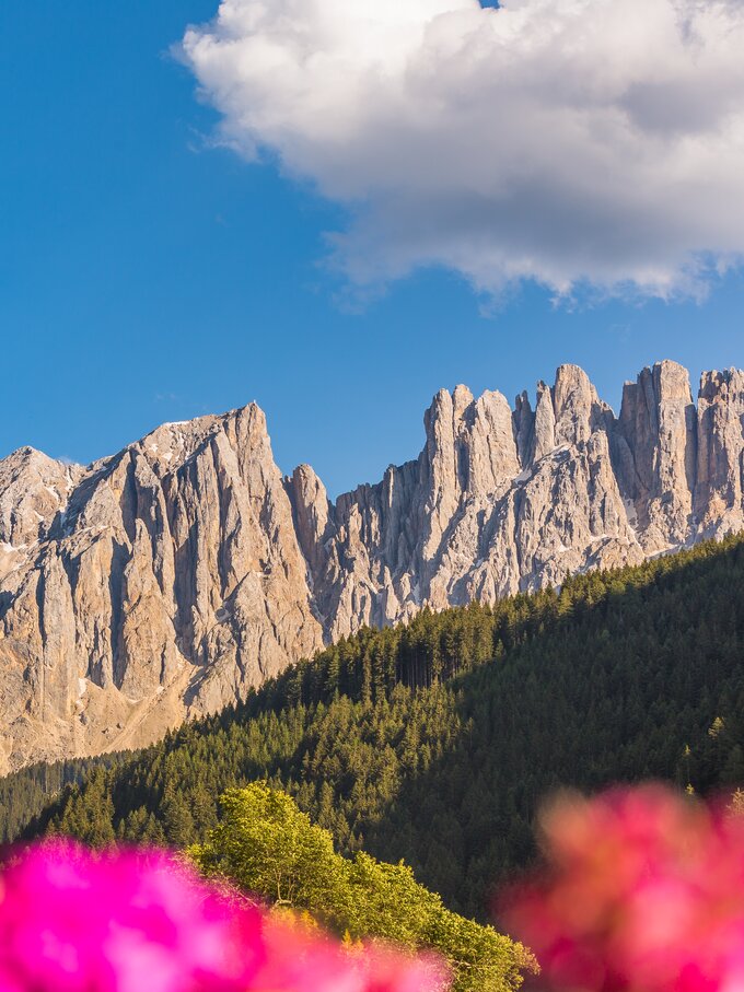 Il Latemar, il monte solitario della Val d’Ega nelle Dolomiti