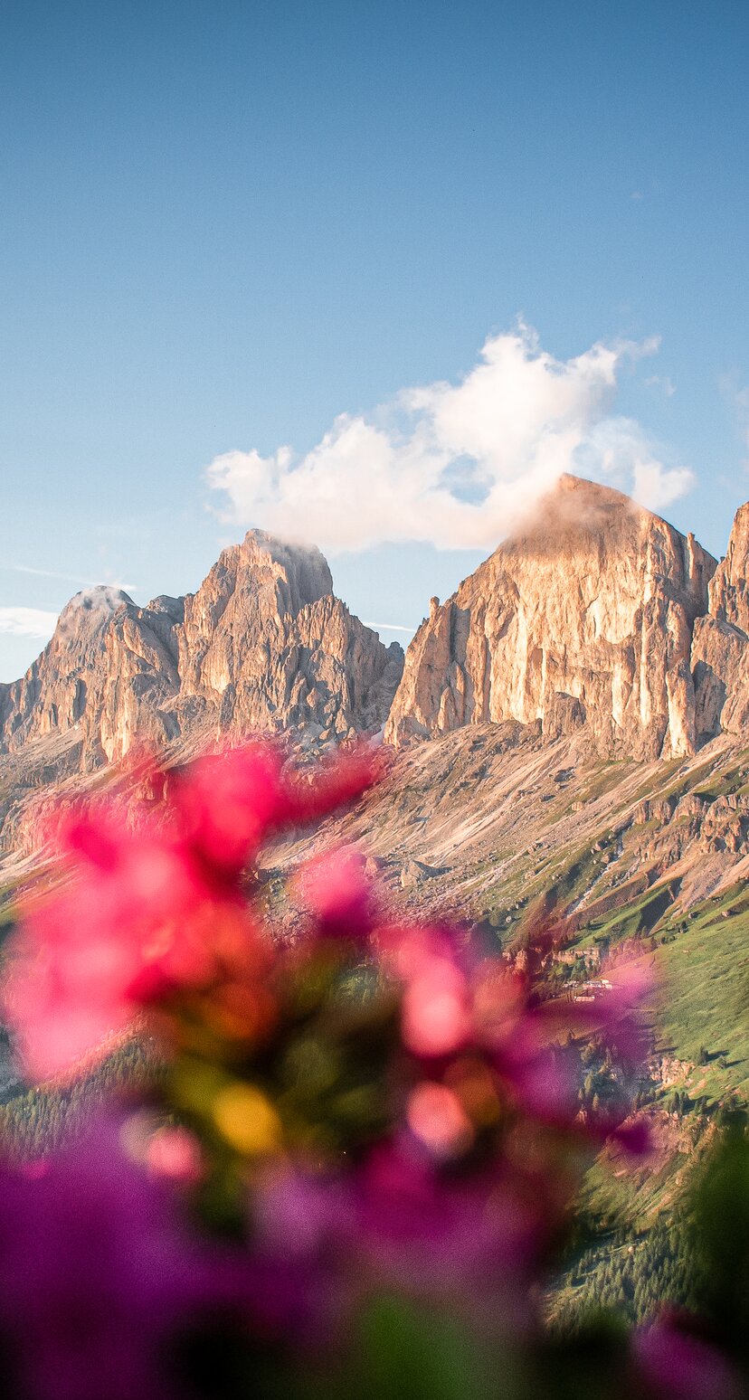 The Rosengarten, part of the Dolomites UNESCO World Heritage Site in ...