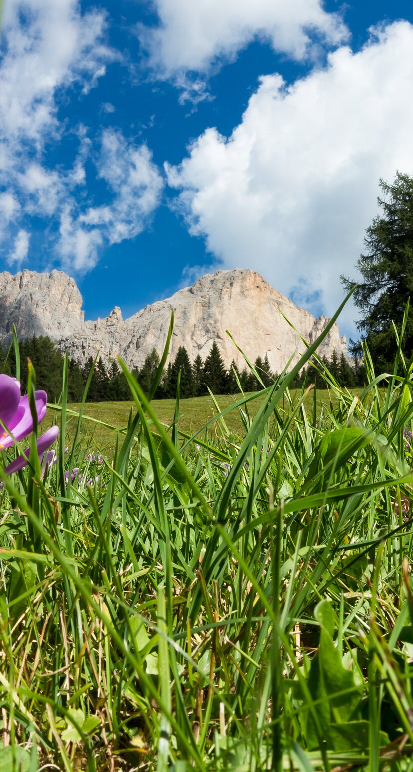 The Rosengarten, part of the Dolomites UNESCO World Heritage Site in ...