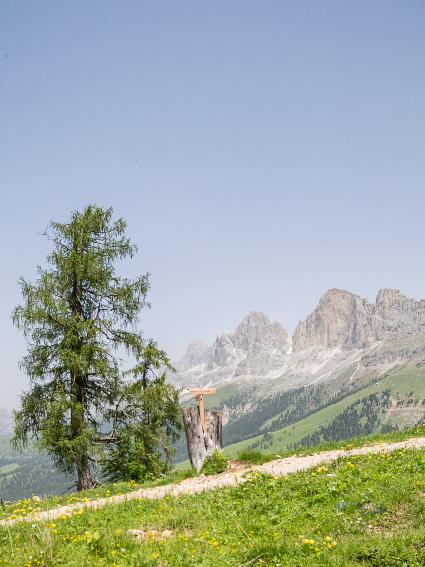 The Rosengarten, part of the Dolomites UNESCO World Heritage Site in ...
